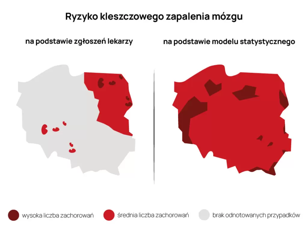 Kleszczowe Zapalenie M zgu Gdzie Wyst puje I Jak Si Chroni 